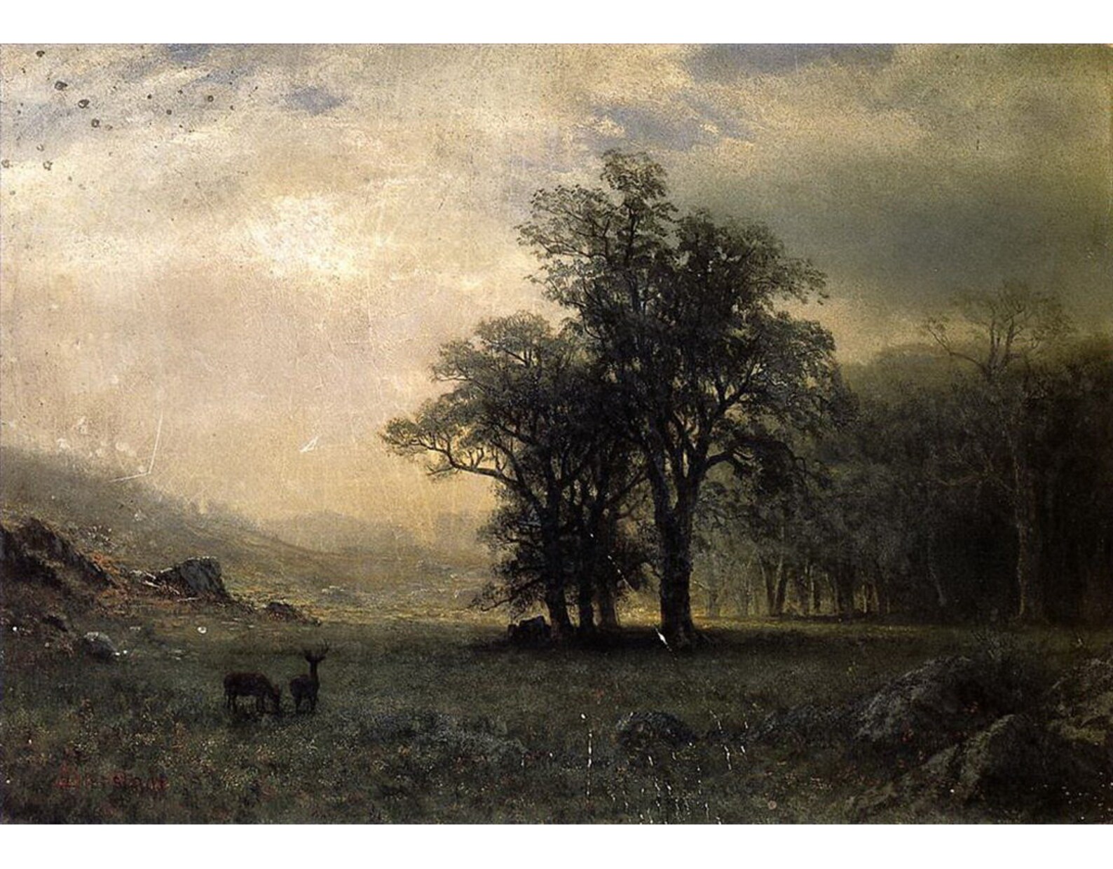 8 Hand Painted Animals Art Oil Paintings of American Indians - Etsy