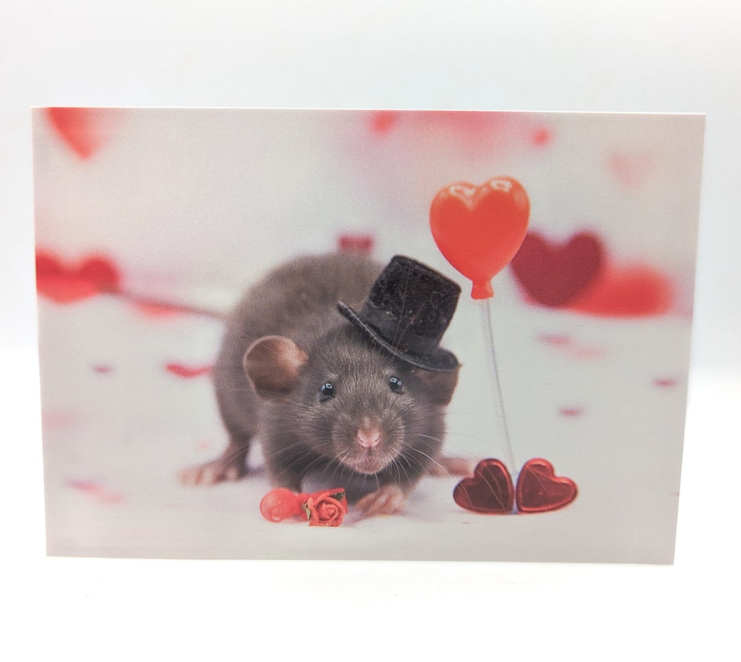 Top Hat Rat Valentines Day Greeting Card Valentine Hearts Love Confetti ...