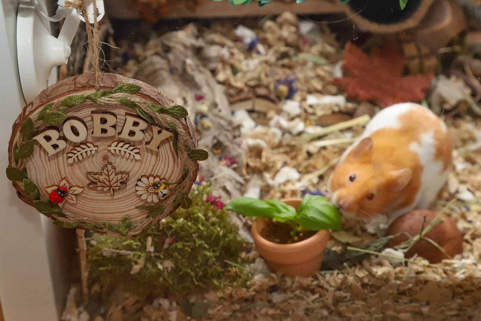 Natural Themed Cage Name Plaque/sign - Hamster, Mouse, Rat, Rattery - Etsy