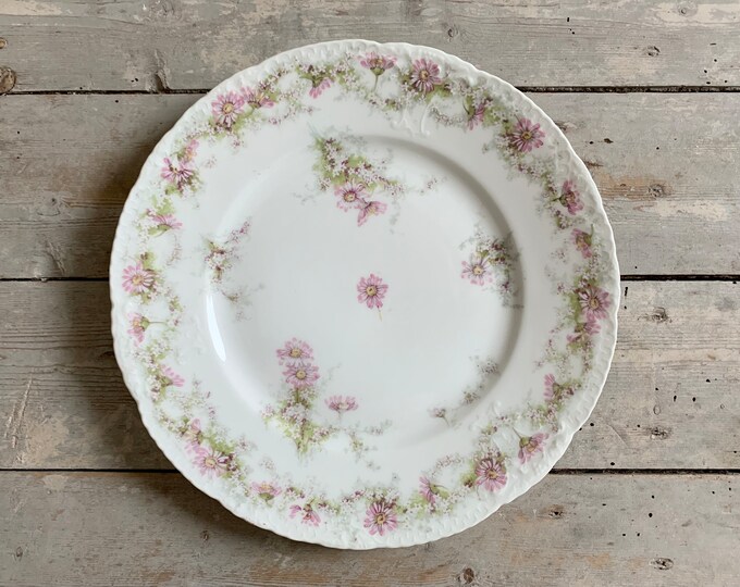 RESERVED ~ 1900s ~ Rare Dessert Porcelain Plate Luxury French Antique ...