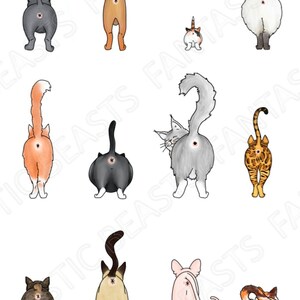 Cat Butts, Original Cat Print, Wall Art, Funny, Cute, Gift, Digital ...