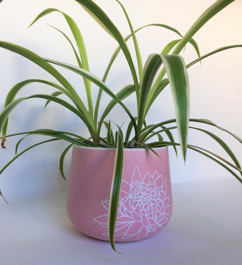 Pink Plant Pot Engraved Flower Pot Chrysanthemum Gift Pink Ceramic ...