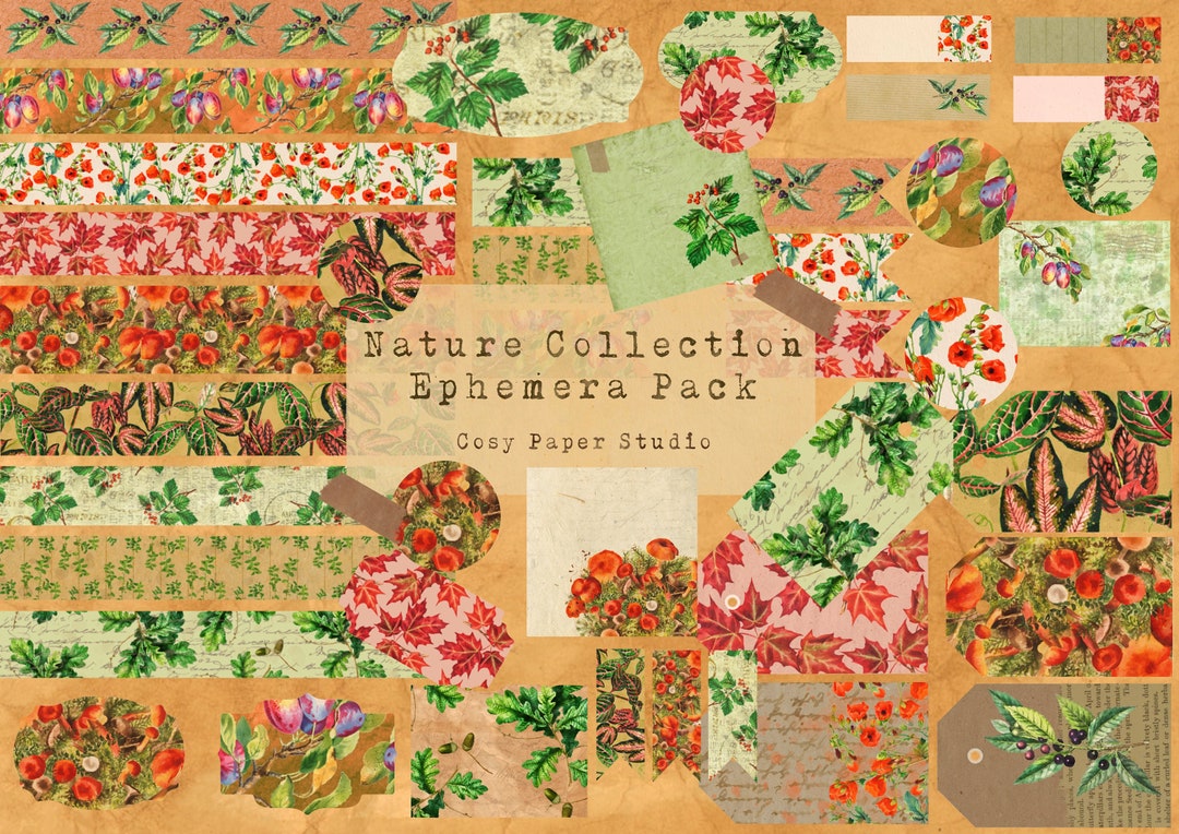 Printable Digital Download Nature Collection Ephemera Pack Journaling ...