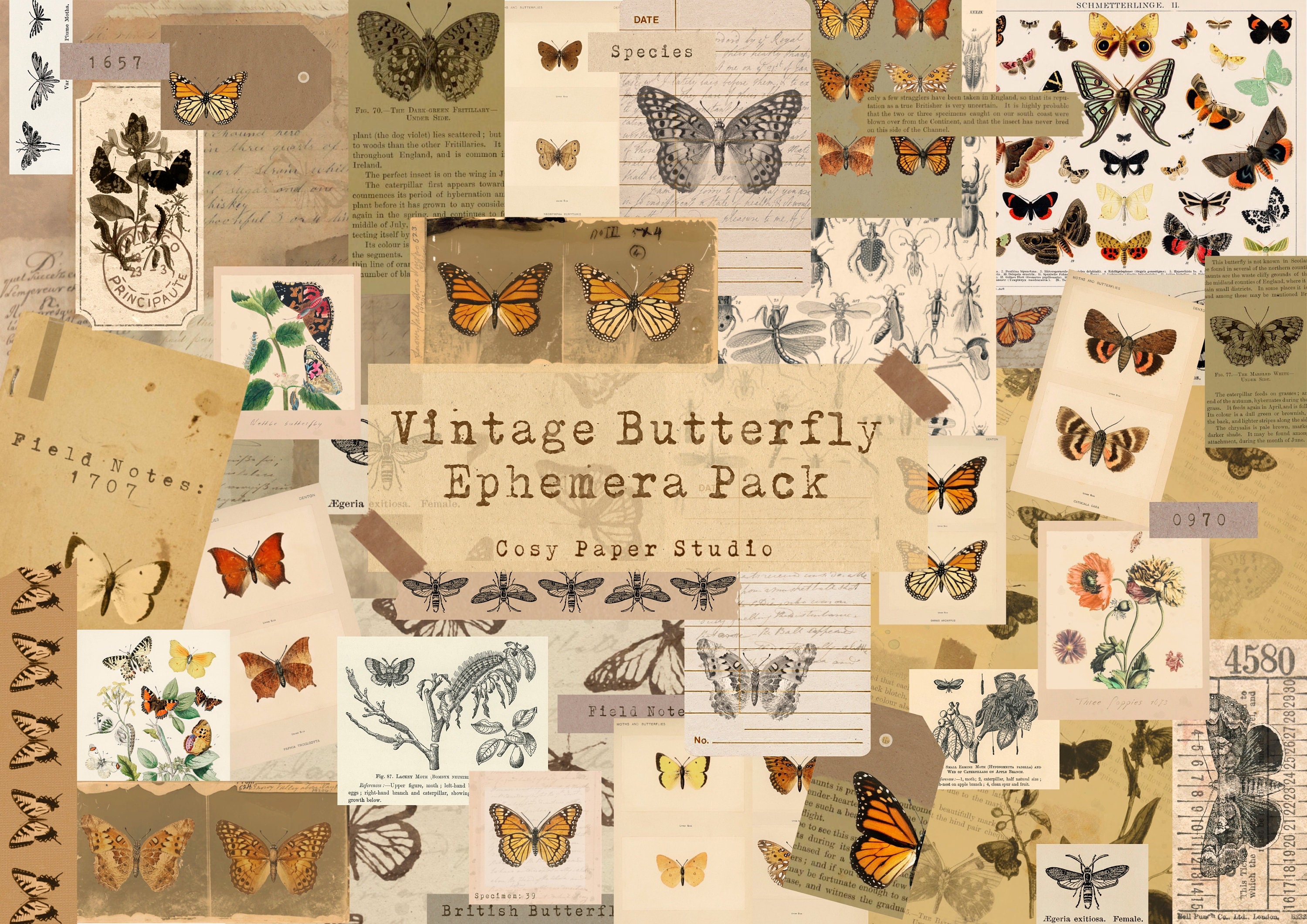 Printable Digital Download Vintage Butterfly Ephemera Pack - Etsy