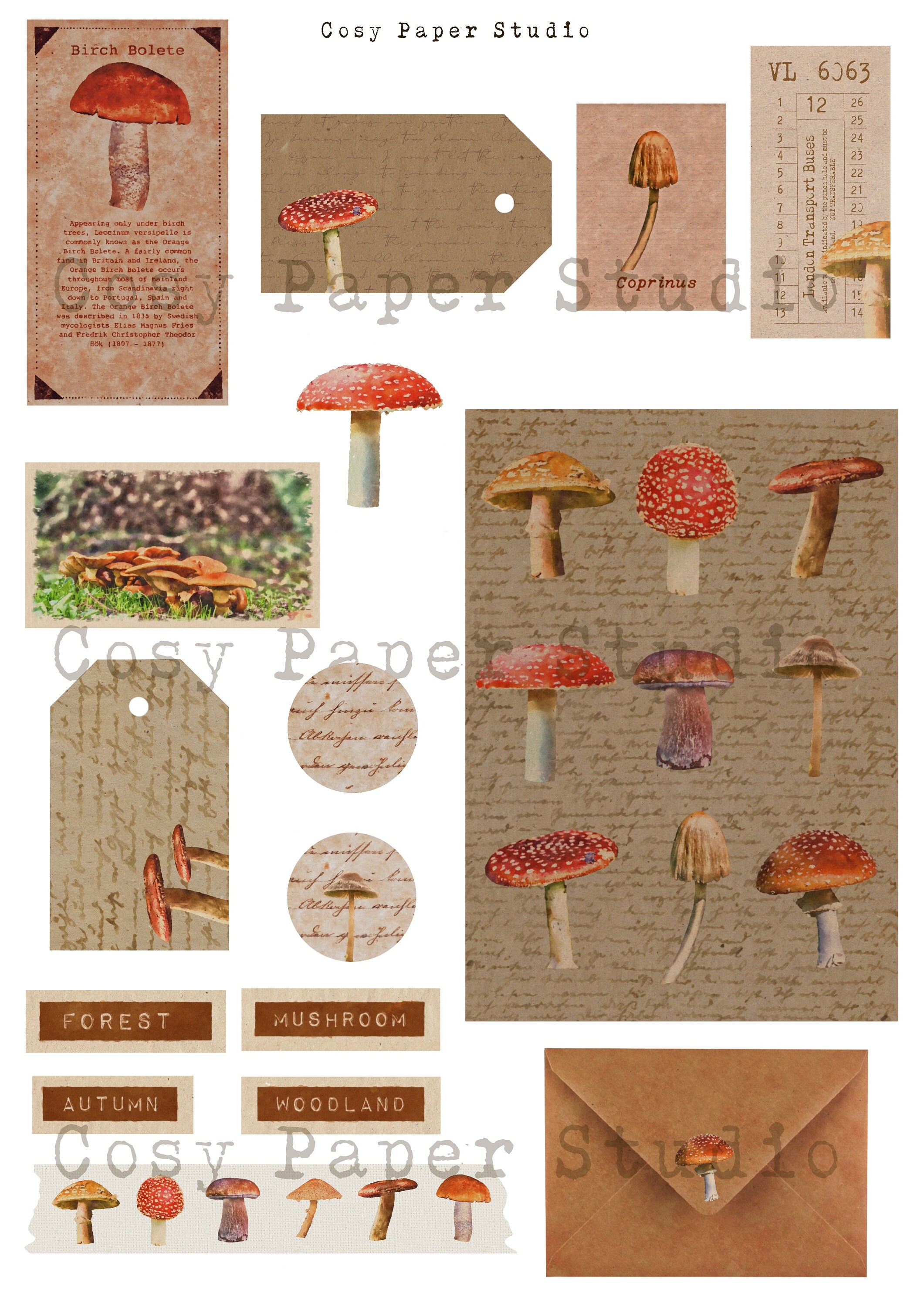 Printable Digital Download Woodland Mushroom Ephemera Pack - Etsy