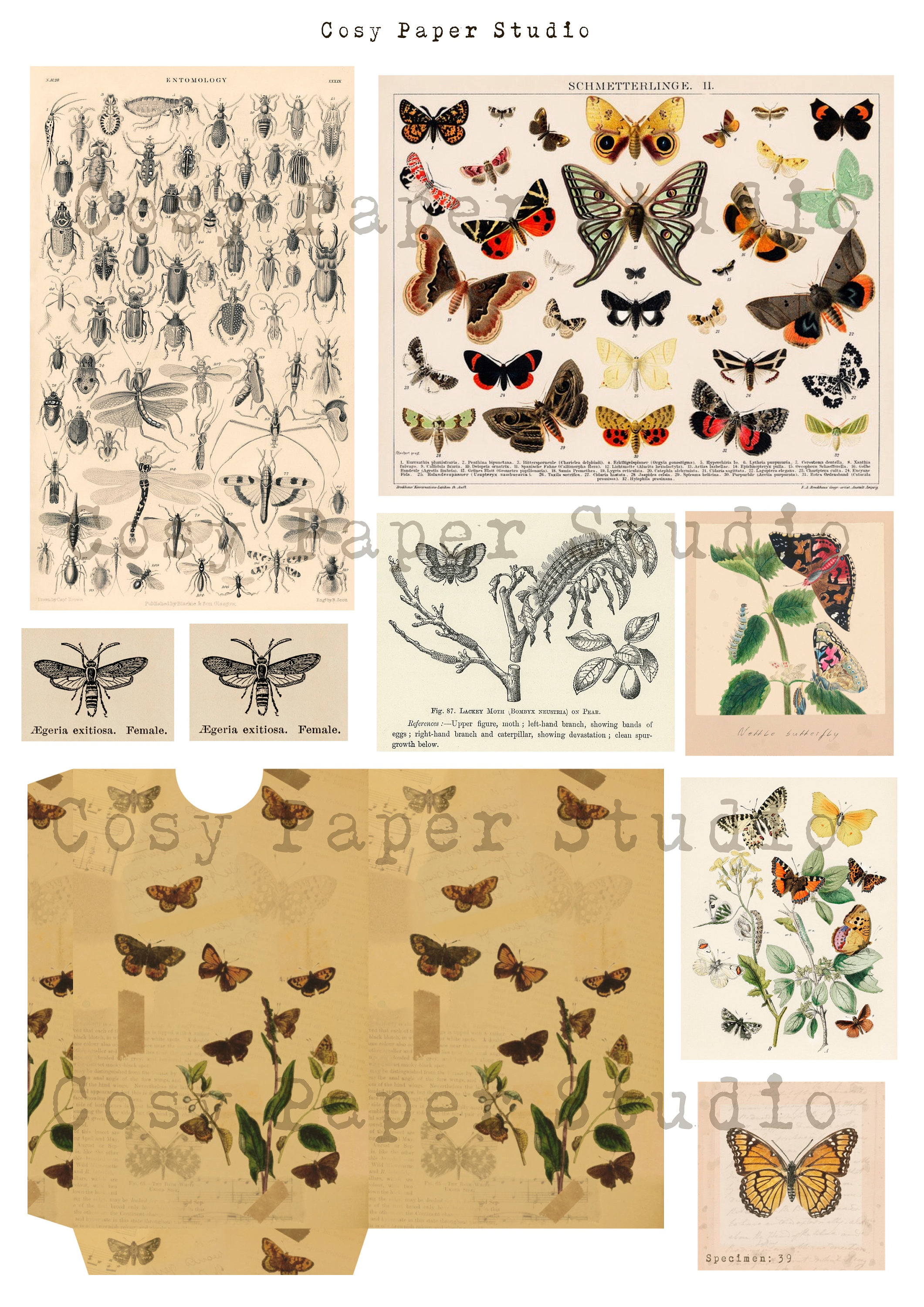 Printable Digital Download Vintage Butterfly Ephemera Pack - Etsy
