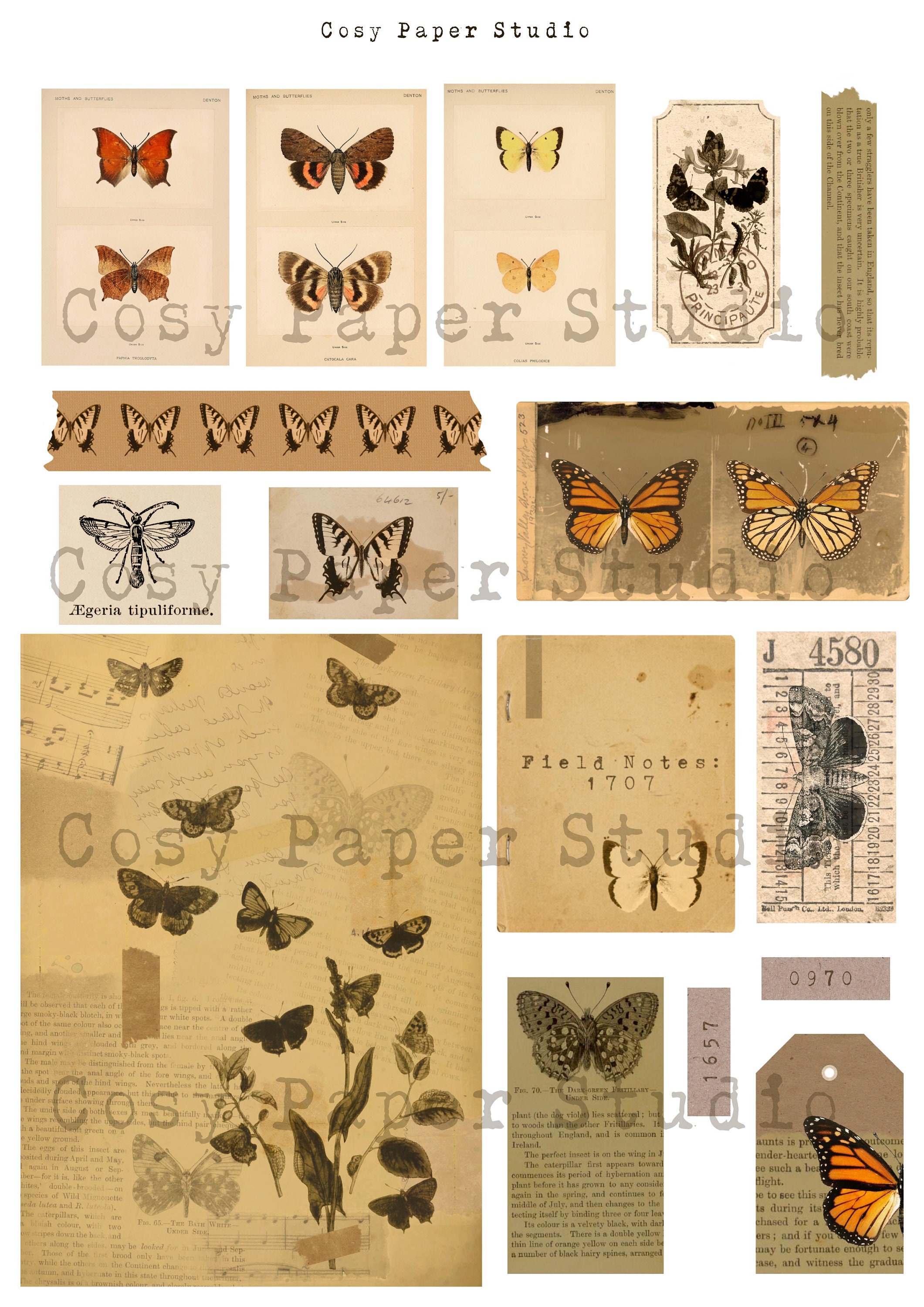 Printable Digital Download Vintage Butterfly Ephemera Pack - Etsy