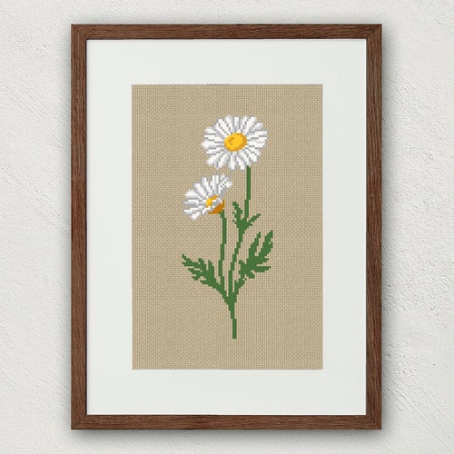 Daisies Cross Stitch Pattern - Etsy