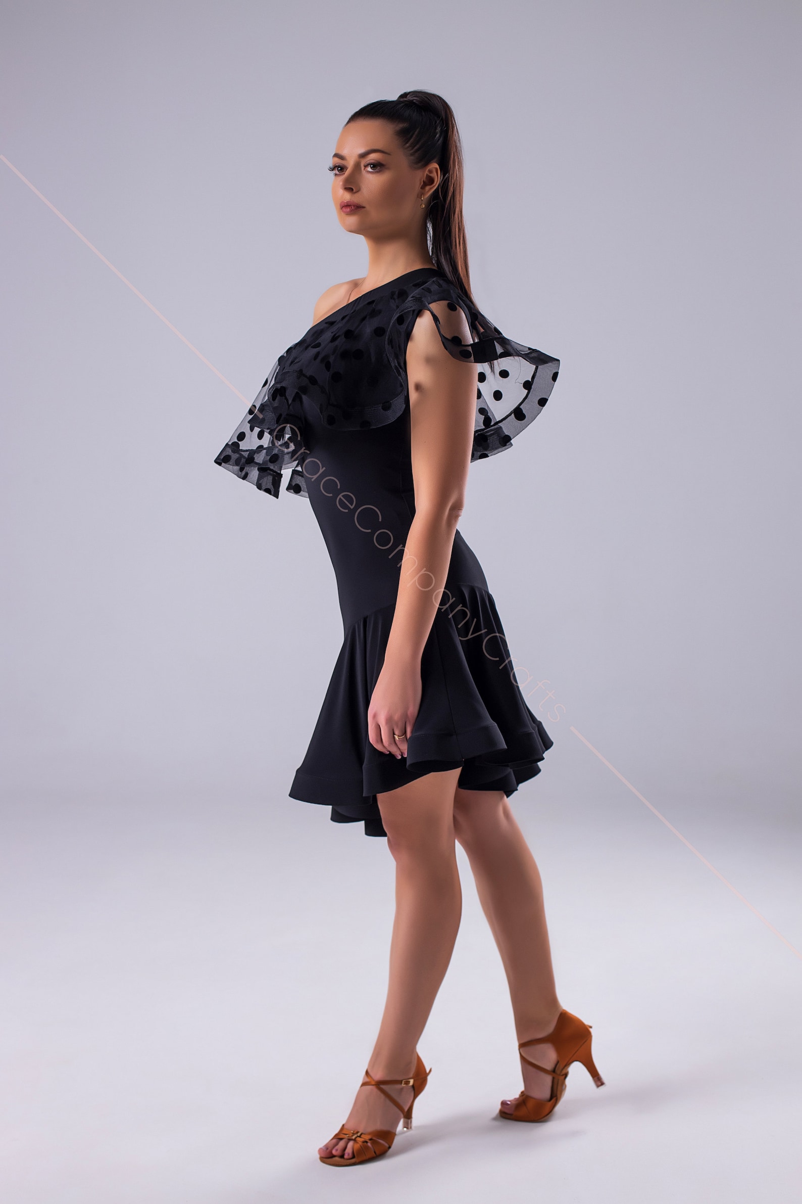 Tango Dress.ballroom Dance Dress.ballroom Dress.latin Dance Dress.robe ...