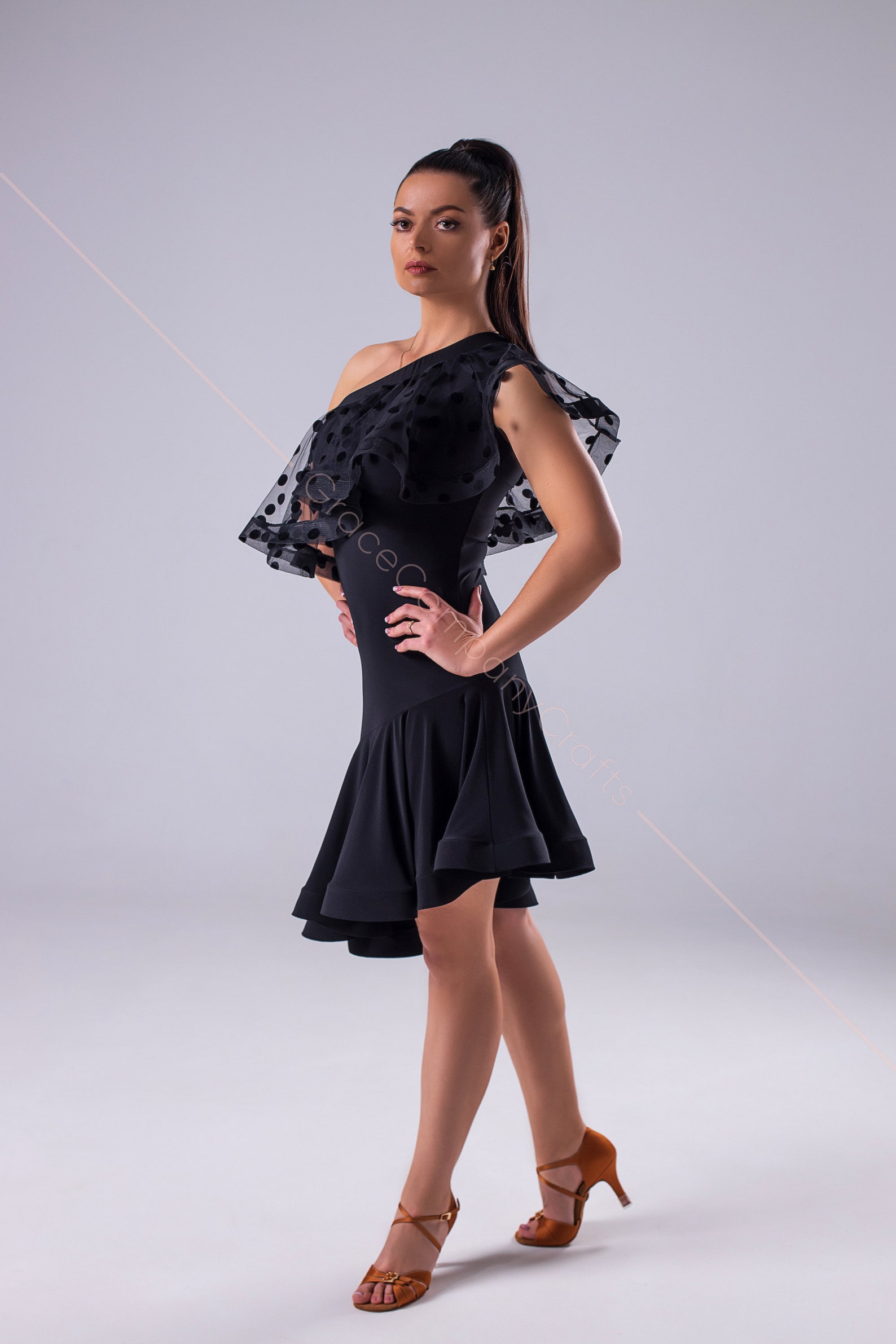 Tango Dress.ballroom Dance Dress.ballroom Dress.latin Dance Dress.robe ...