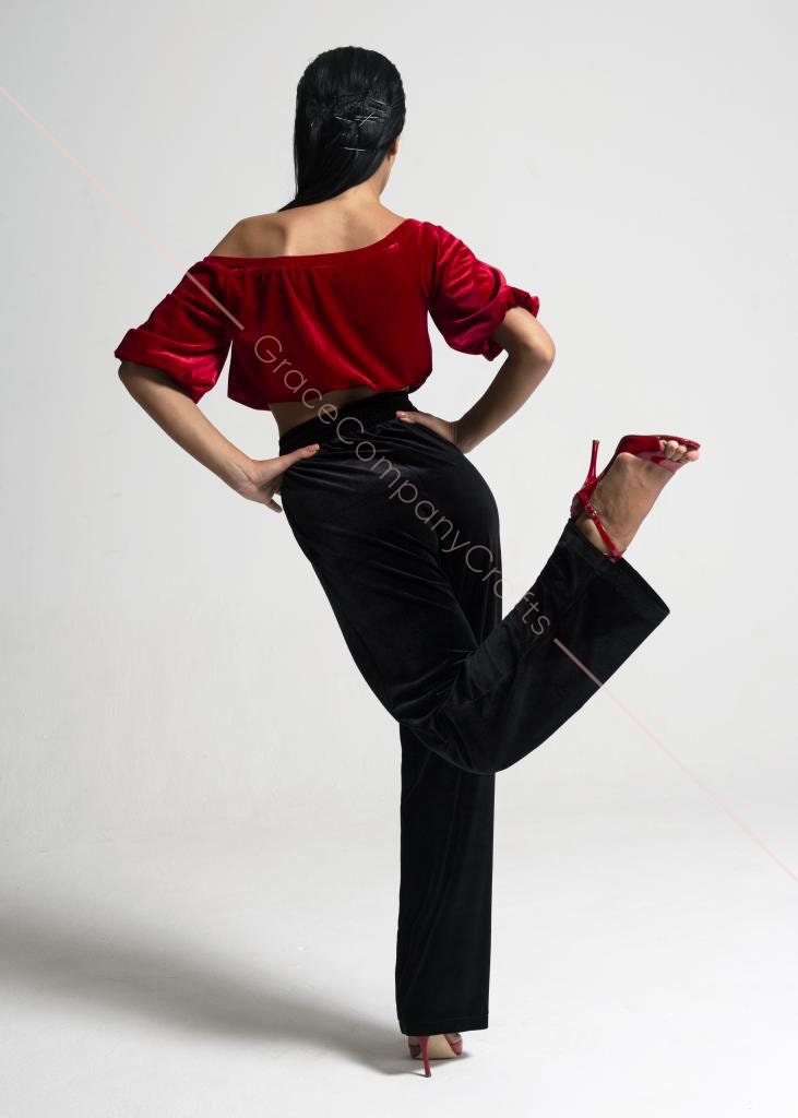 Red Velvet Dance Top - Etsy