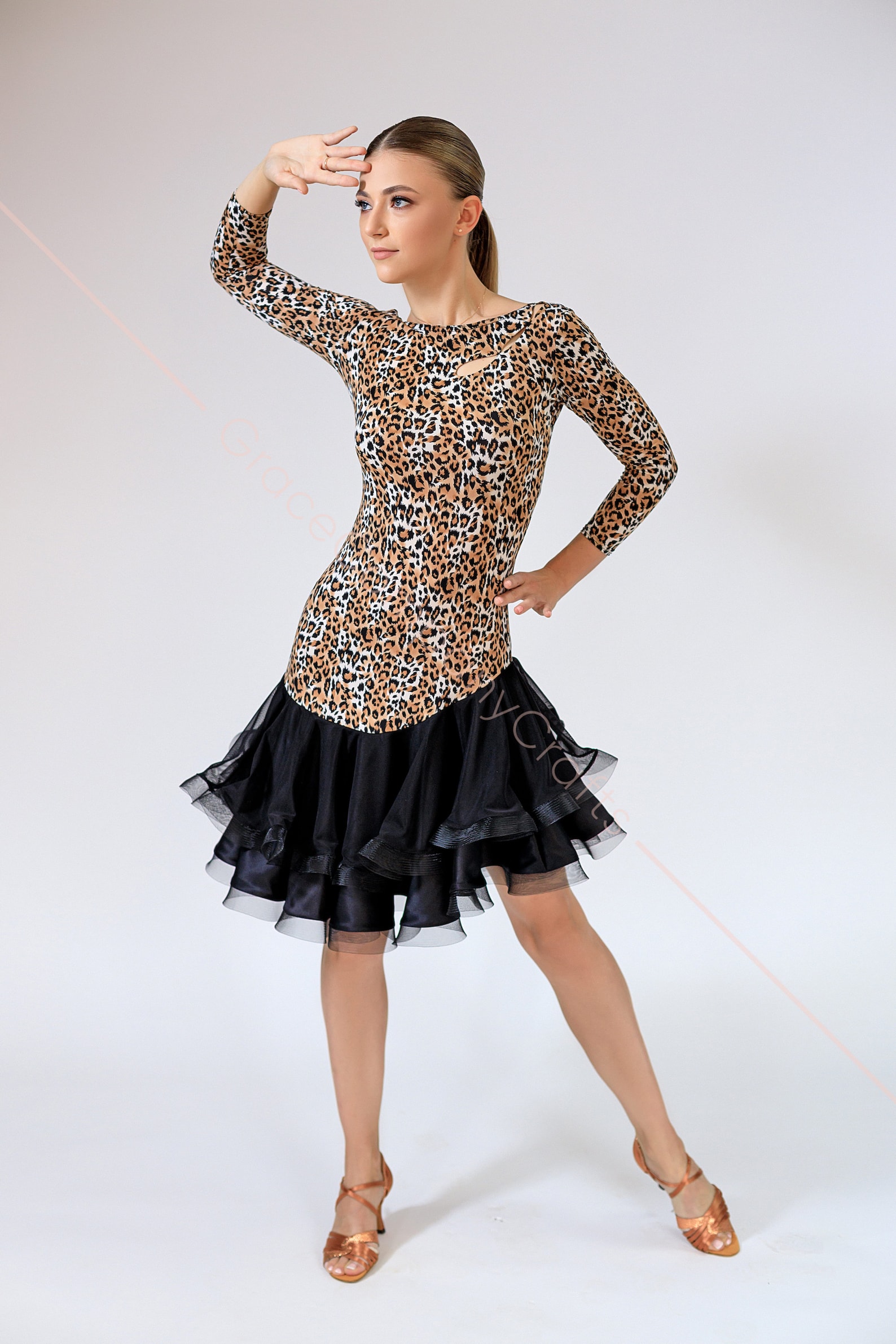 Tango Dress.ballroom Dance Dress.ballroom Dress.latin Dance Dress.robe ...