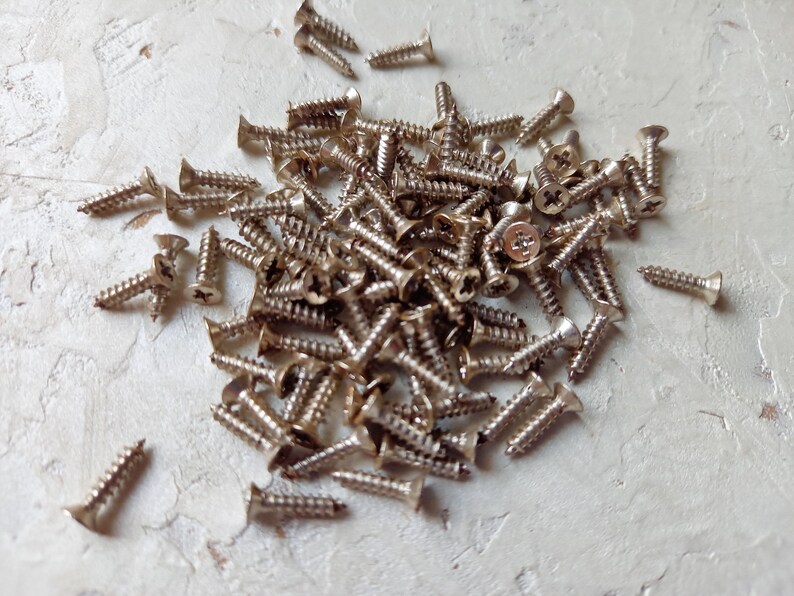 2.5 X 10 Mm Small Silver Screws 100 Psc Miniature Screws - Etsy