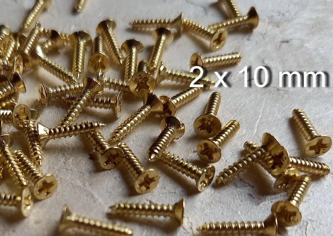 2 X 10 Mm Small Gold Screws 100 Psc Miniature Screws Screws for Hinges ...