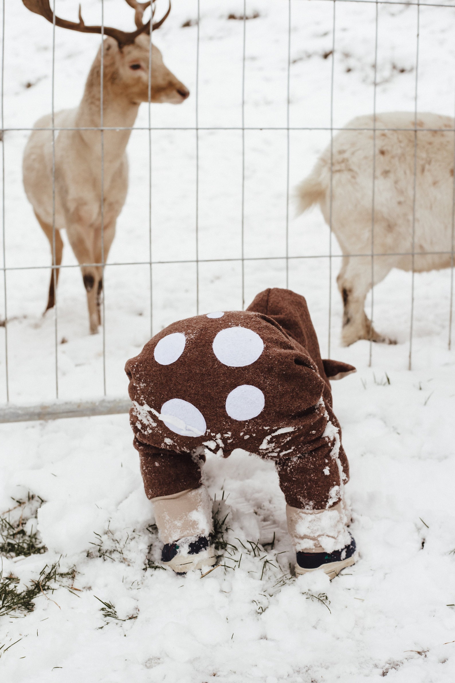 Wollwalk Overall Reh Bambi Kitz für Babys & Kinder Baby - Etsy.de