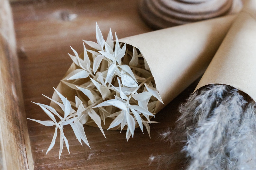 Butcher's Broom Ruscus Natural White Dried Flowers | Dried Flower ...