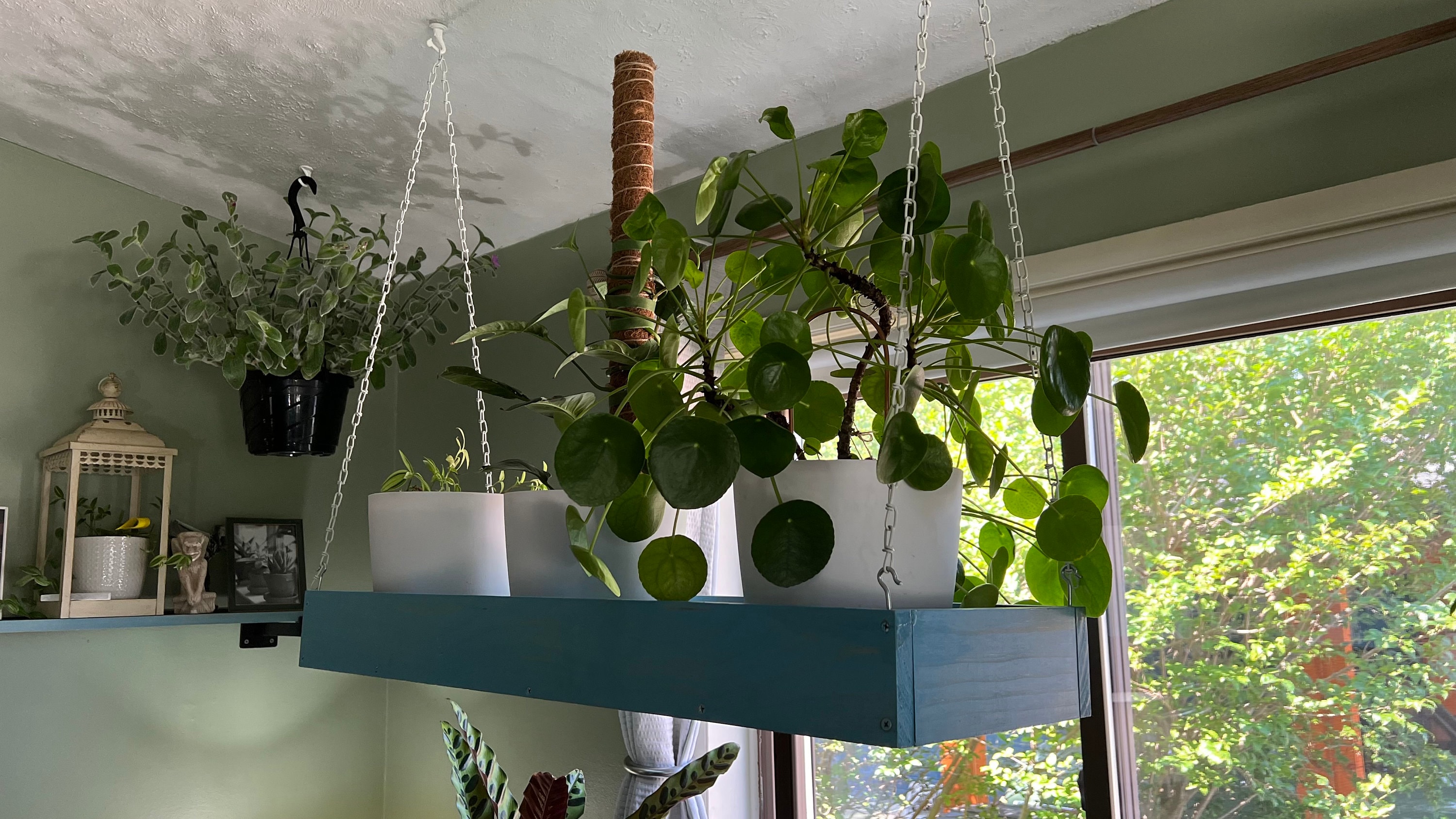 Cloud Blue Ceiling Hanging Shelf for Plants - Etsy
