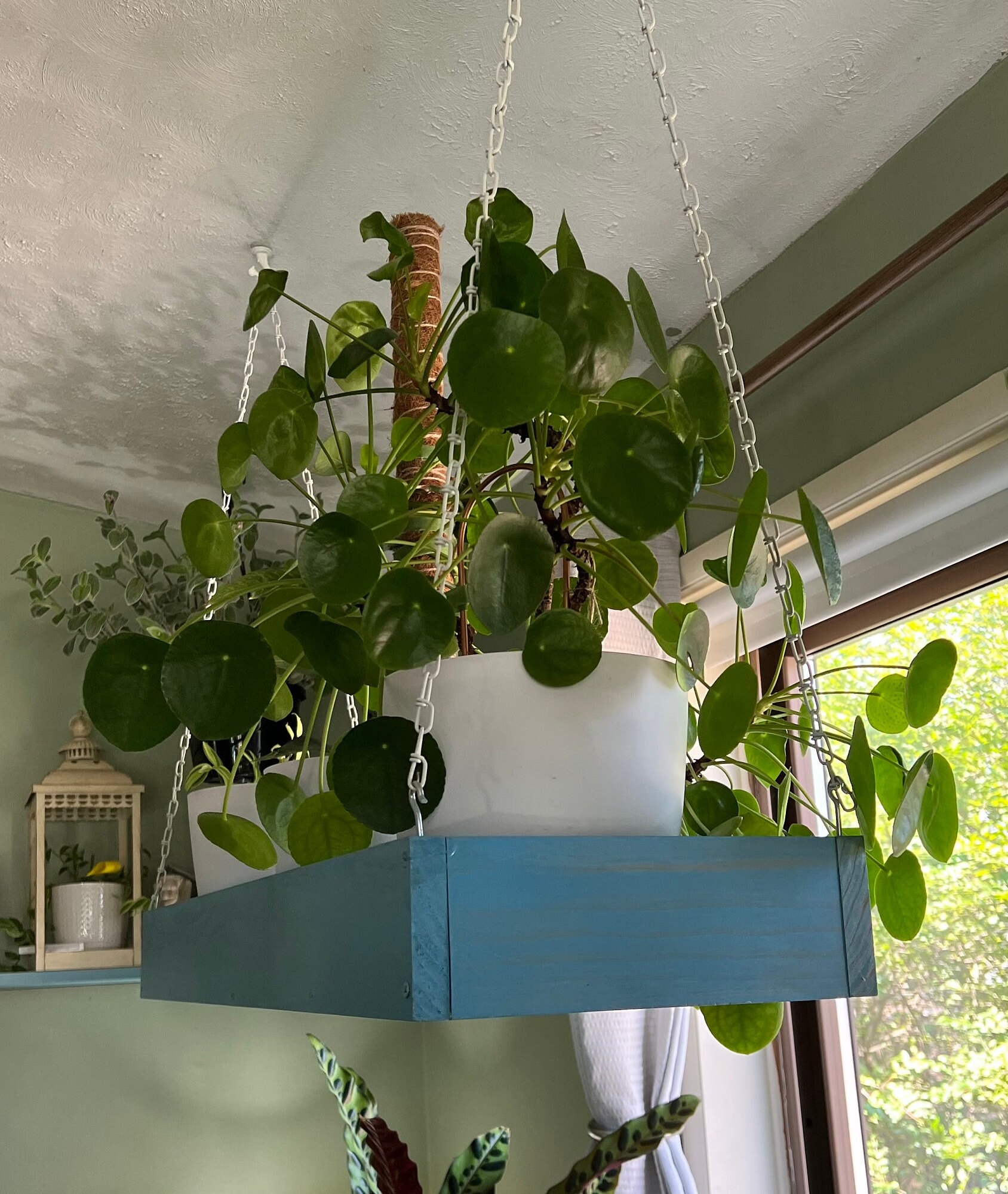 Cloud Blue Ceiling Hanging Shelf for Plants - Etsy