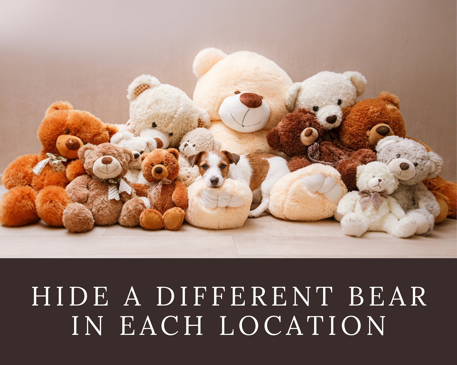 Teddy Bear Hunt Printable, Teddy Bear's Picnic Tea Party Game, First ...