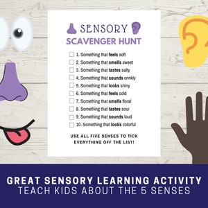 Sensory Scavenger Hunt for Kids (printable), Child and Toddler Sensory ...