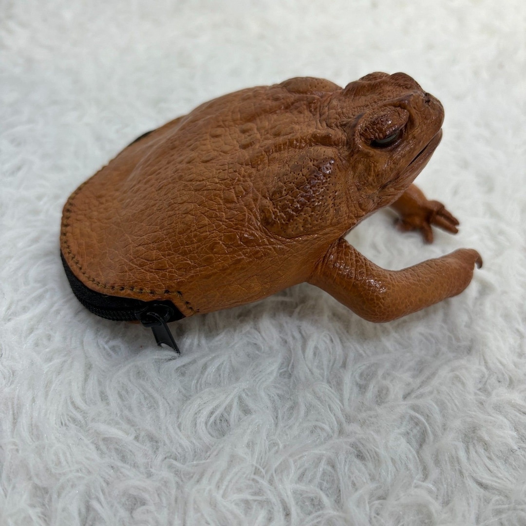 Unique Handmade Taxidermy Frog Leather Tanned Coin Purse - Etsy