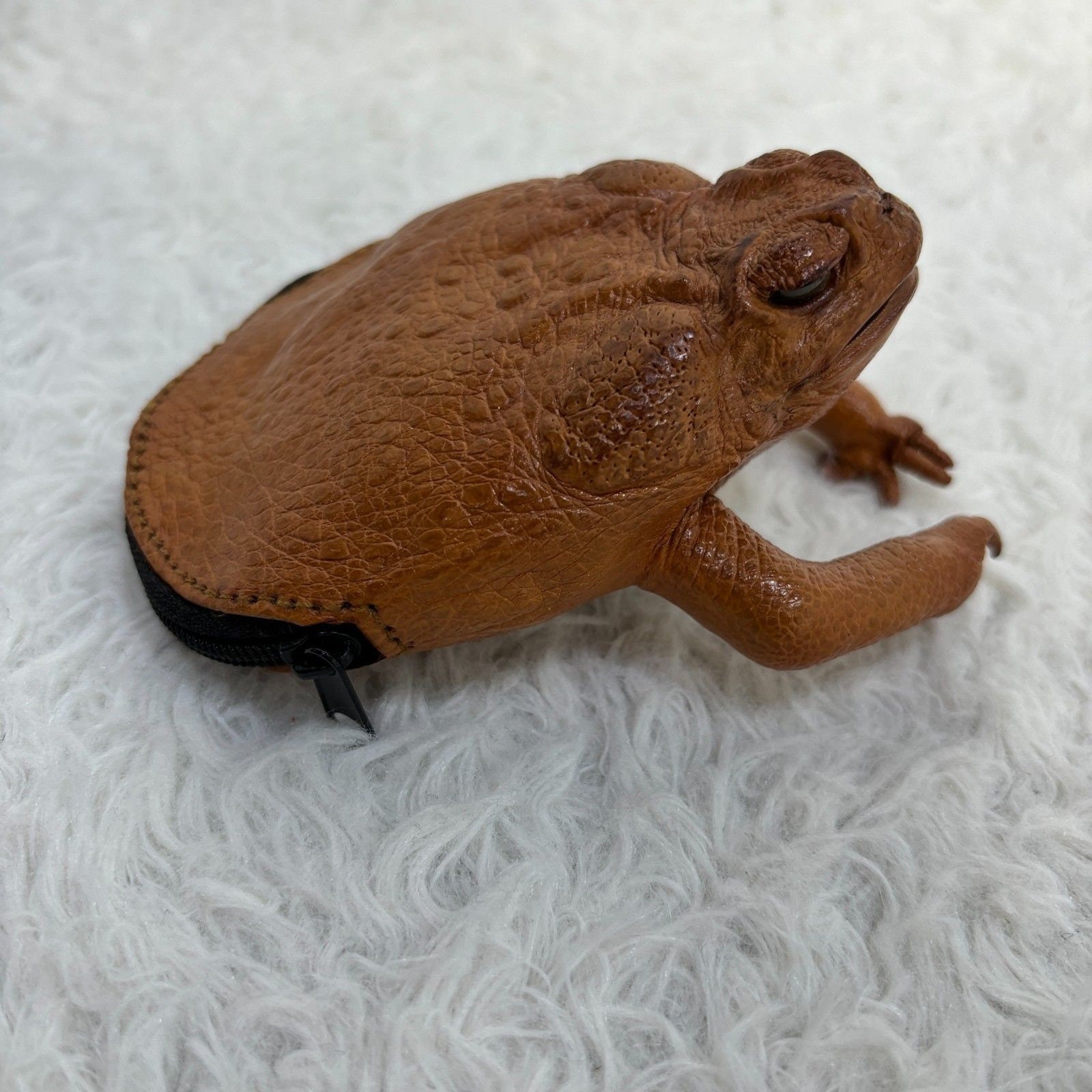 Unique Handmade Taxidermy Frog Leather Tanned Coin Purse - Etsy