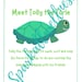 Tolly the Turtle of Tolerance - Etsy