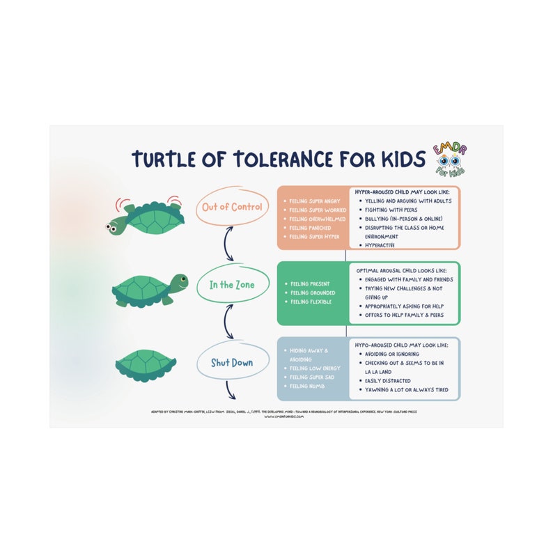 Turtle of Tolerance for Kids Poster - Etsy