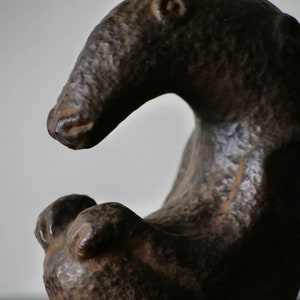 The Ambum Stone, Ambum Stone Replica, Ancient Artifact, Echidna, Museum ...