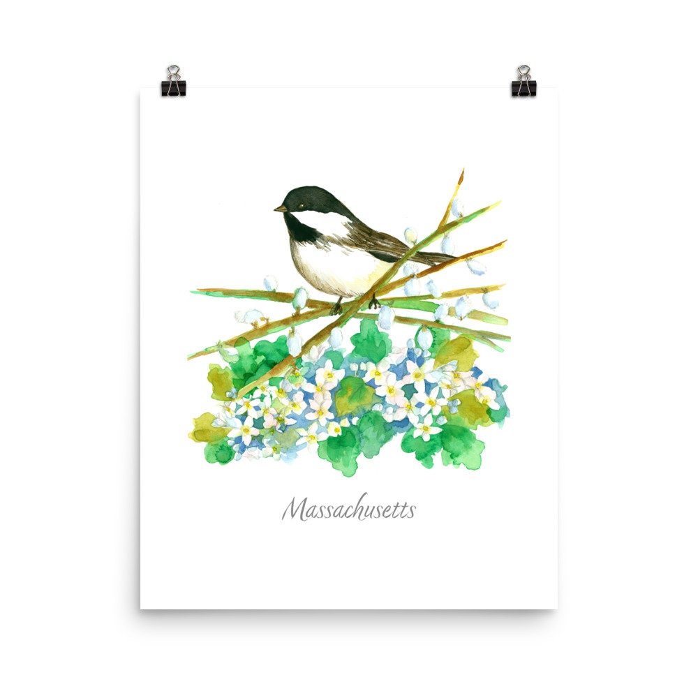 Massachusetts State Bird Chickadee May Flowers Watercolor Fine Art Print Etsy