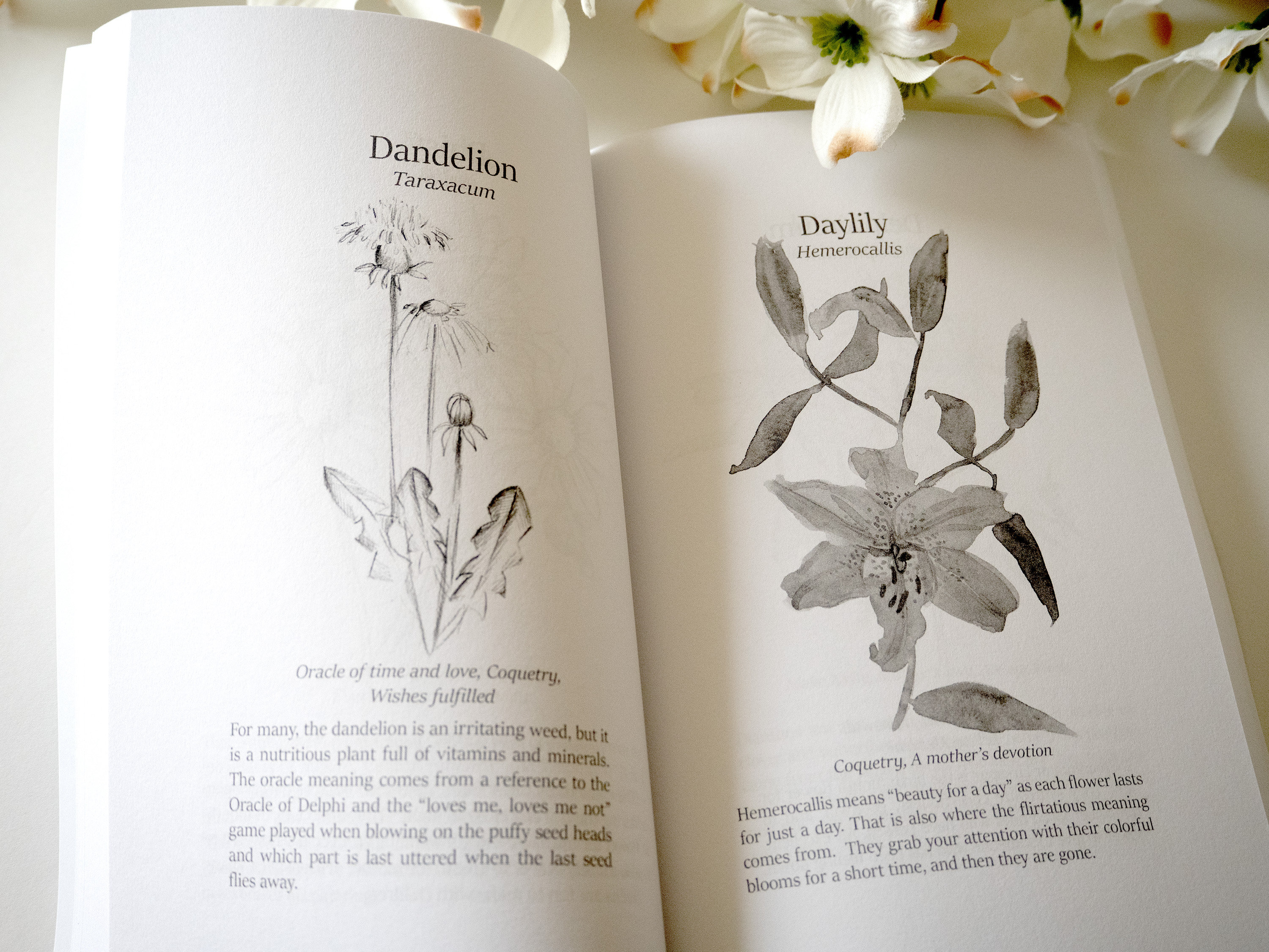Language of Flowers Book Victorian Floriography Symbols Illustrated ...