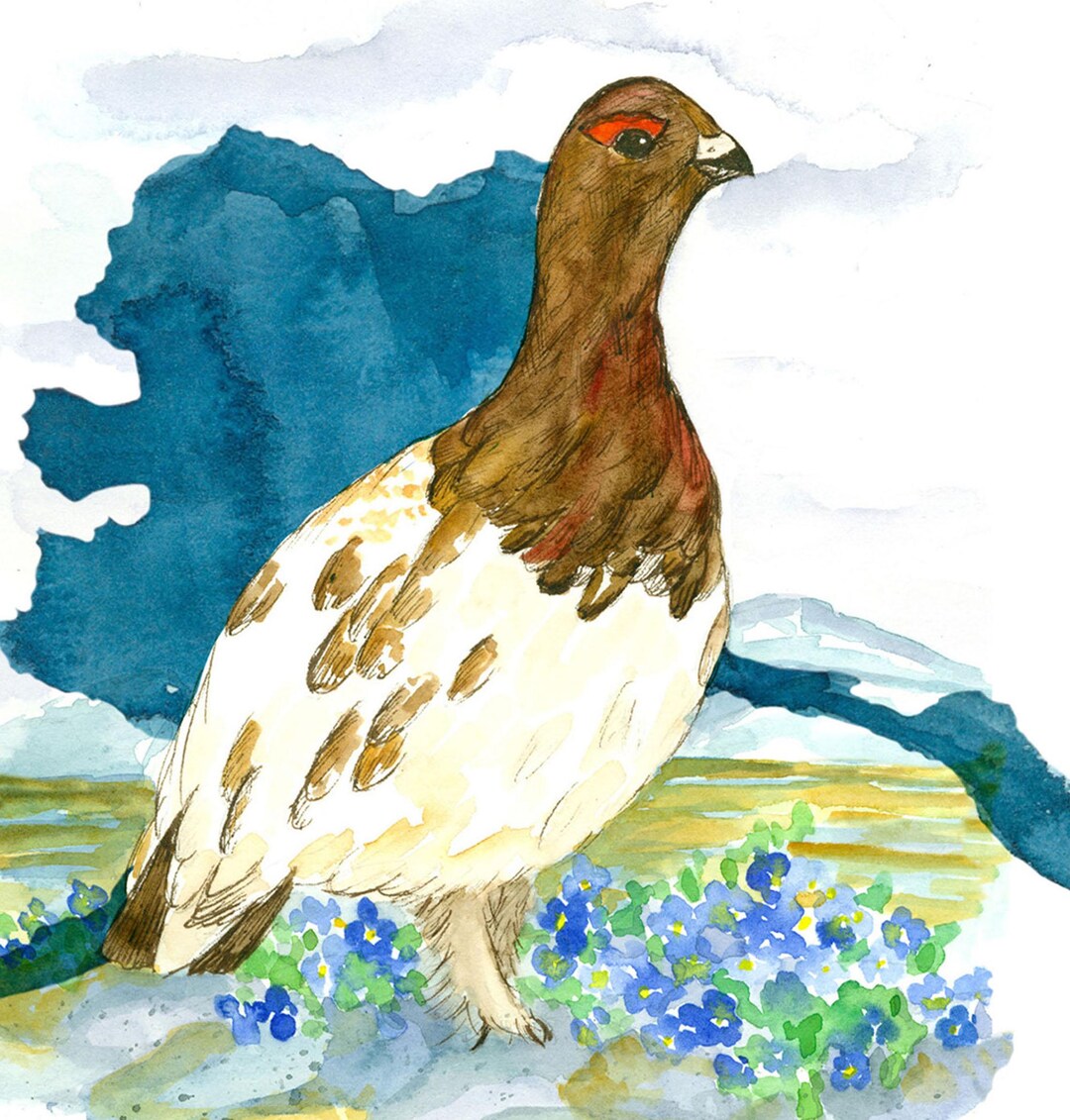 Alaska State Bird Art Print State Shape Willow Ptarmigan Forget-me-not ...