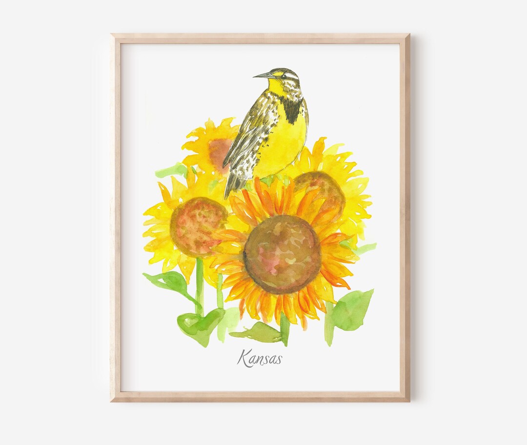 Kansas State Bird Meadowlark Sunflowers Watercolor Fine Art Print - Etsy