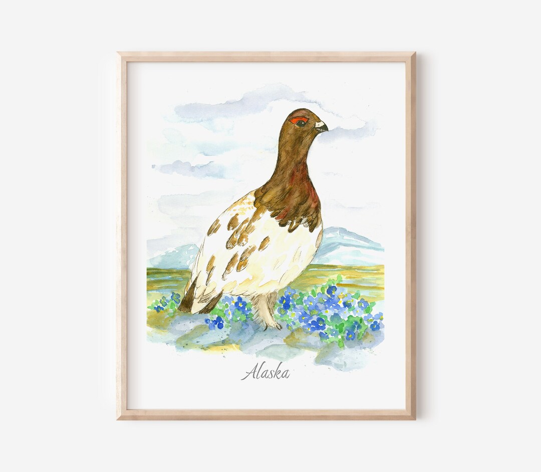 Alaska State Bird Art Print Willow Ptarmigan Forget-me-not Flower ...