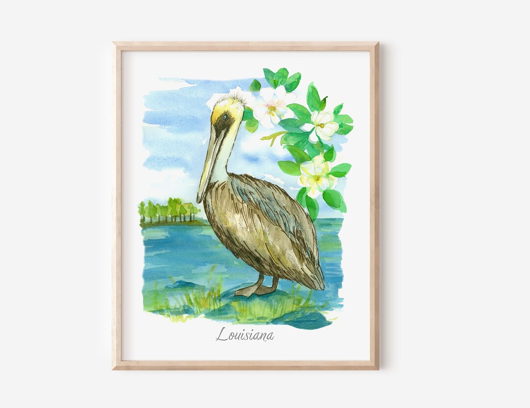 Louisiana State Bird Pelican Magnolia Watercolor Fine Art Print - Etsy
