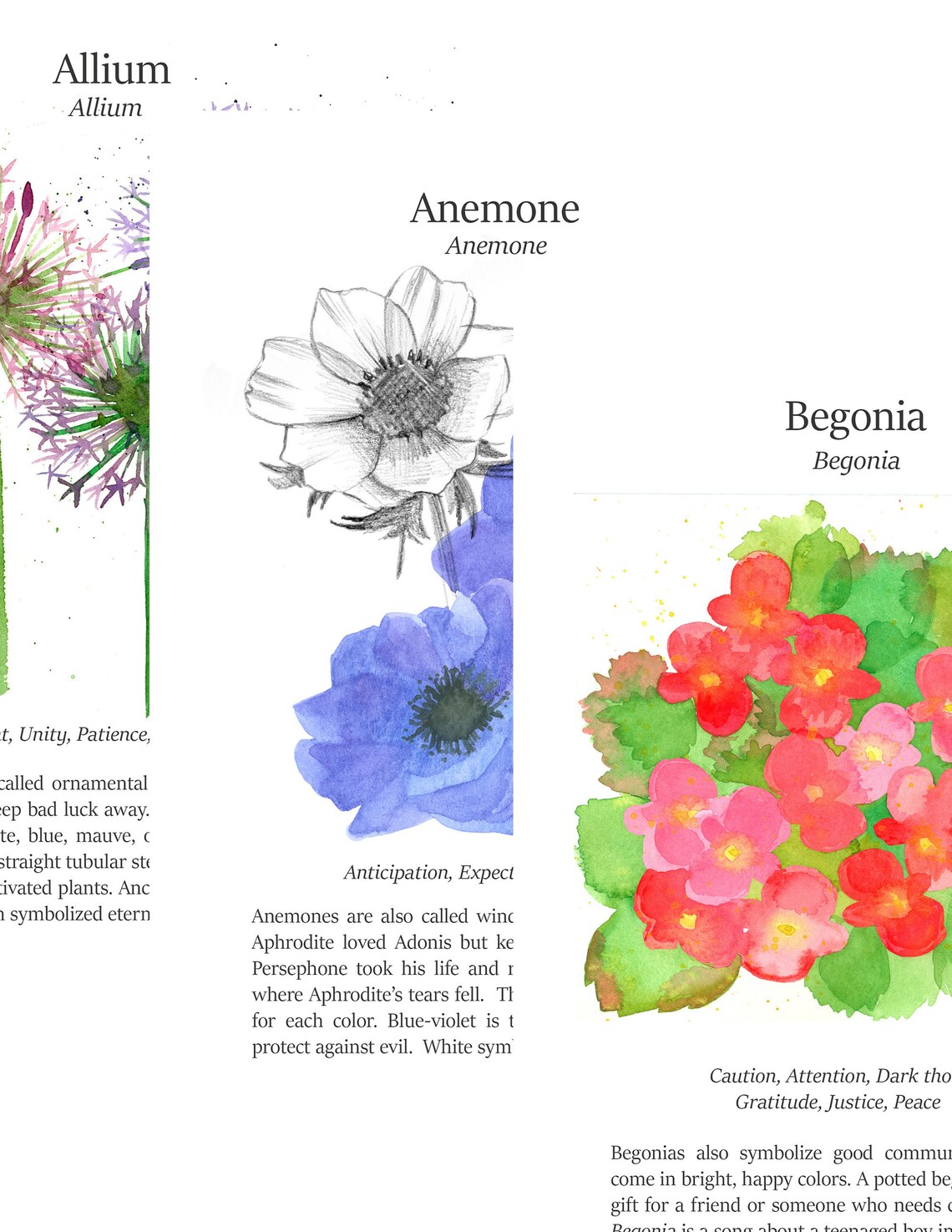 The Language of Flowers Victorian Floriography Symbols Handbook ...