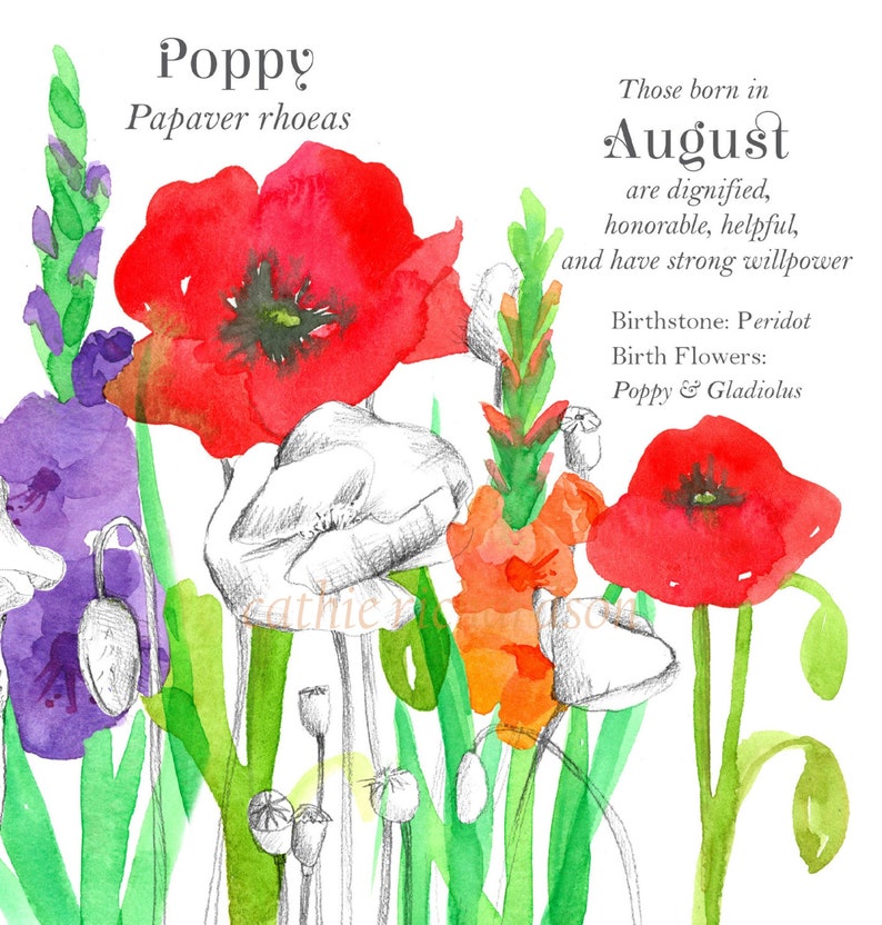 August Birth Flower Card Language of Flowers Poppies Gladiolus ...