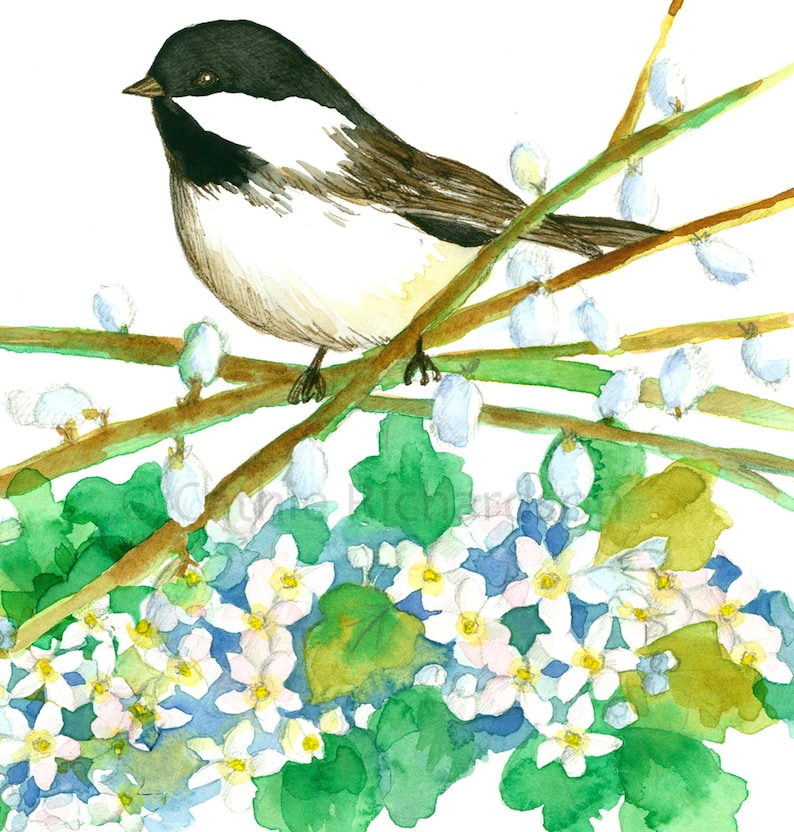 Scripture Psalm 37 5 Bible Verse Chickadee Bird Watercolor Flowers Fine ...