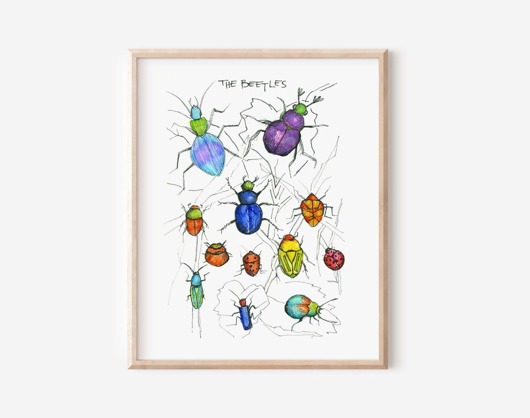 Beetles Bugs Fine Art Drawing Pen and Ink Insects Nature Wall Art - Etsy