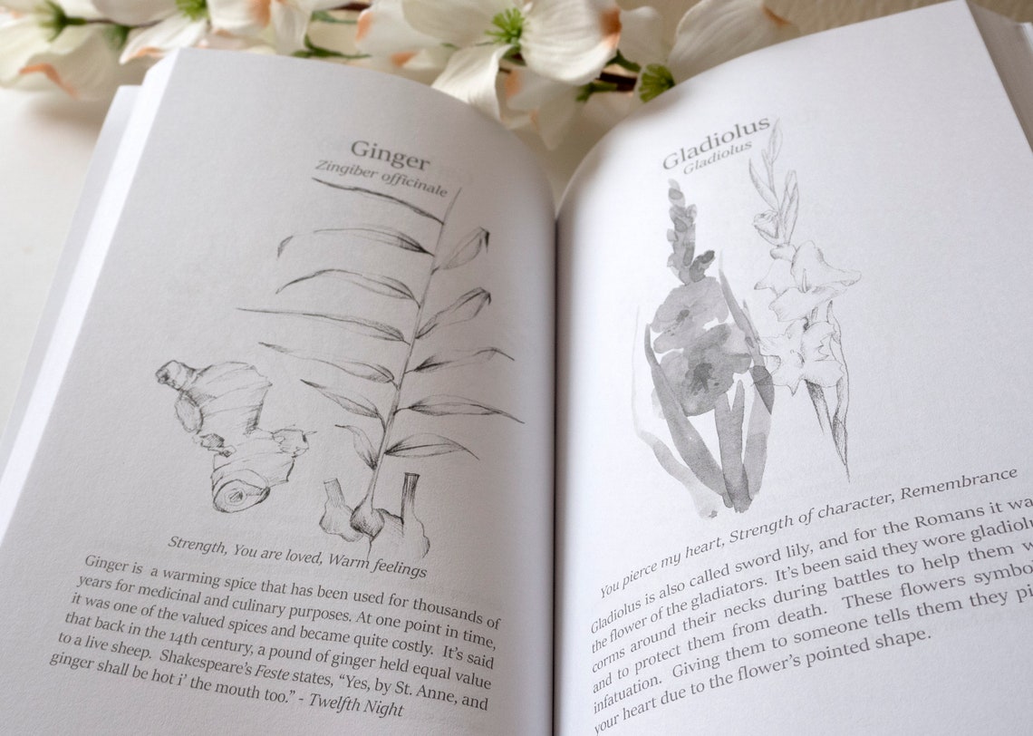 Language of Flowers Book Victorian Floriography Symbols Illustrated ...
