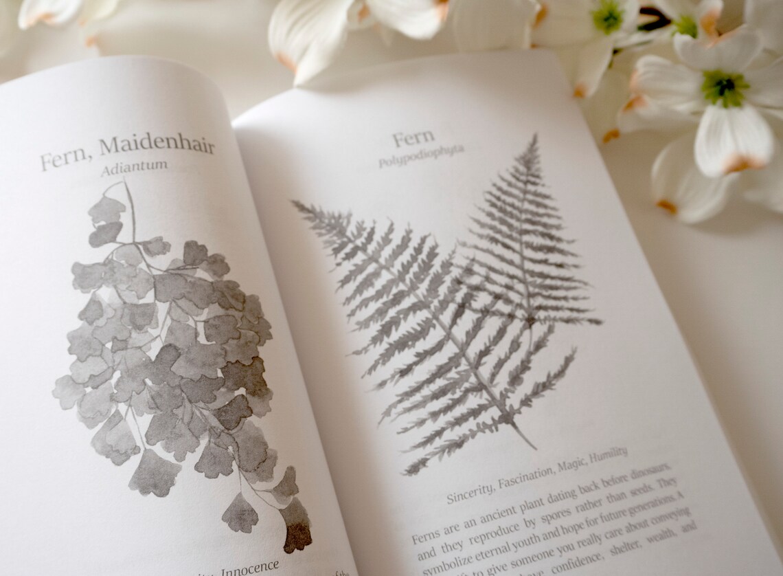 Language of Flowers Book Victorian Floriography Symbols Illustrated ...