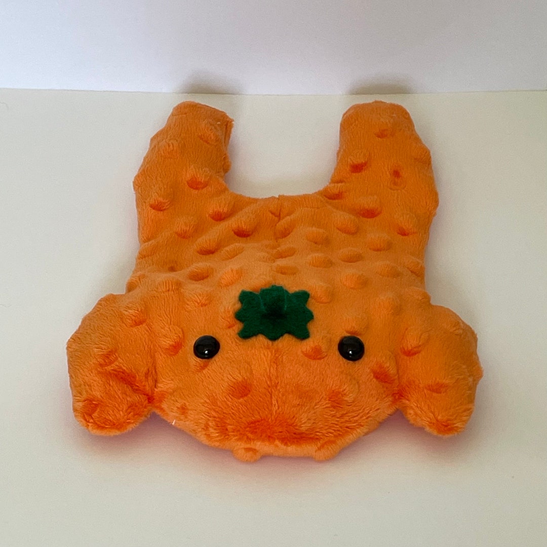 Rice Filled Pumpkin Toad Handmade Plush - Etsy