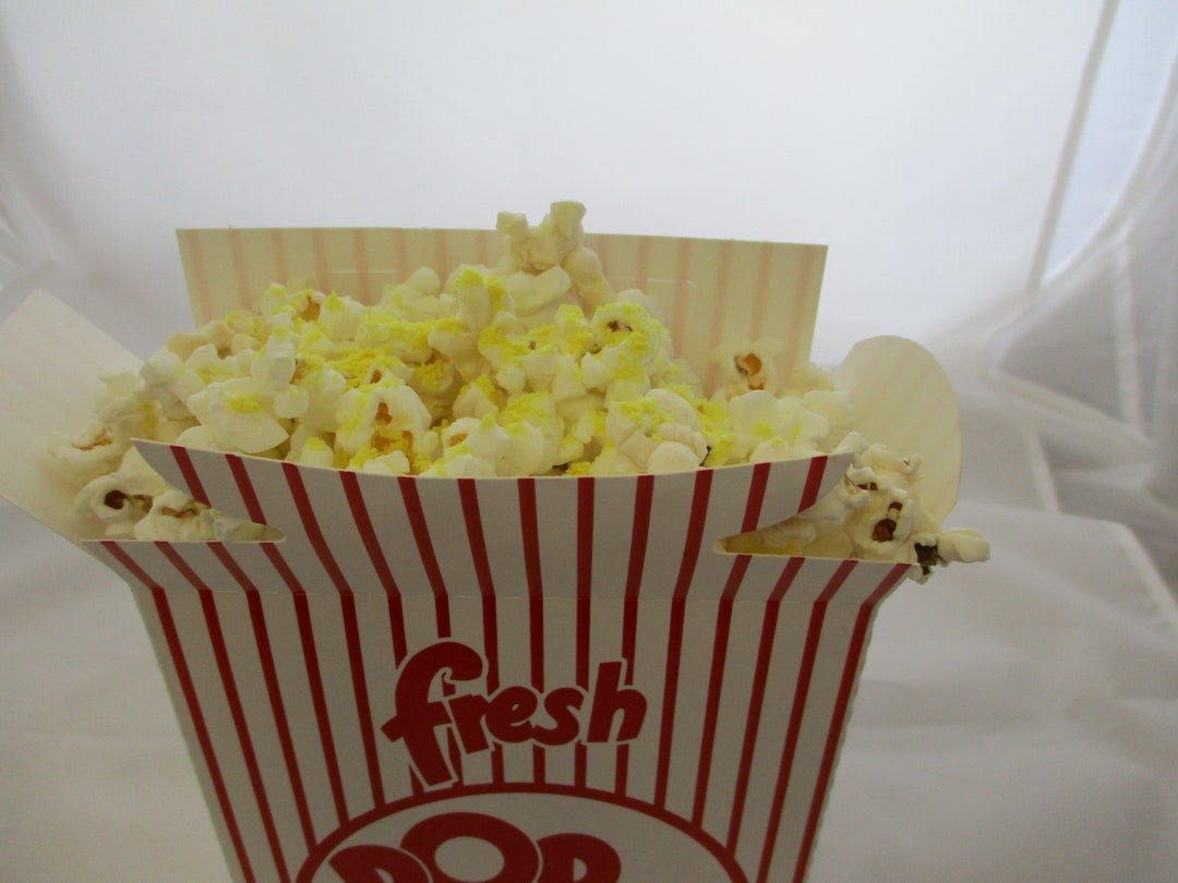 POPCORN BOXES/ Red and White Retro , Movie Theater, Family Movie Night ...