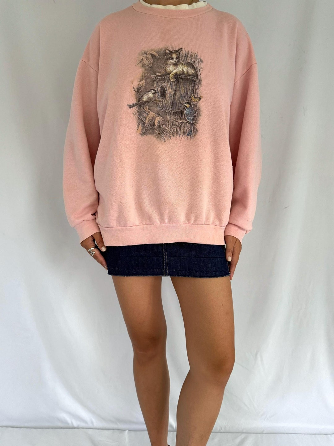 80s Vintage Pink Cat Birds Granny Nature Scene Collared Pullover ...