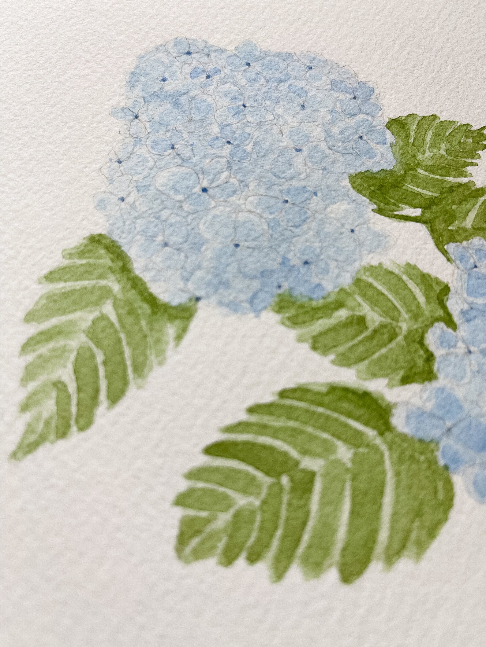 Hydrangea Painting Blue Hydrangea Watercolor Painting - Etsy