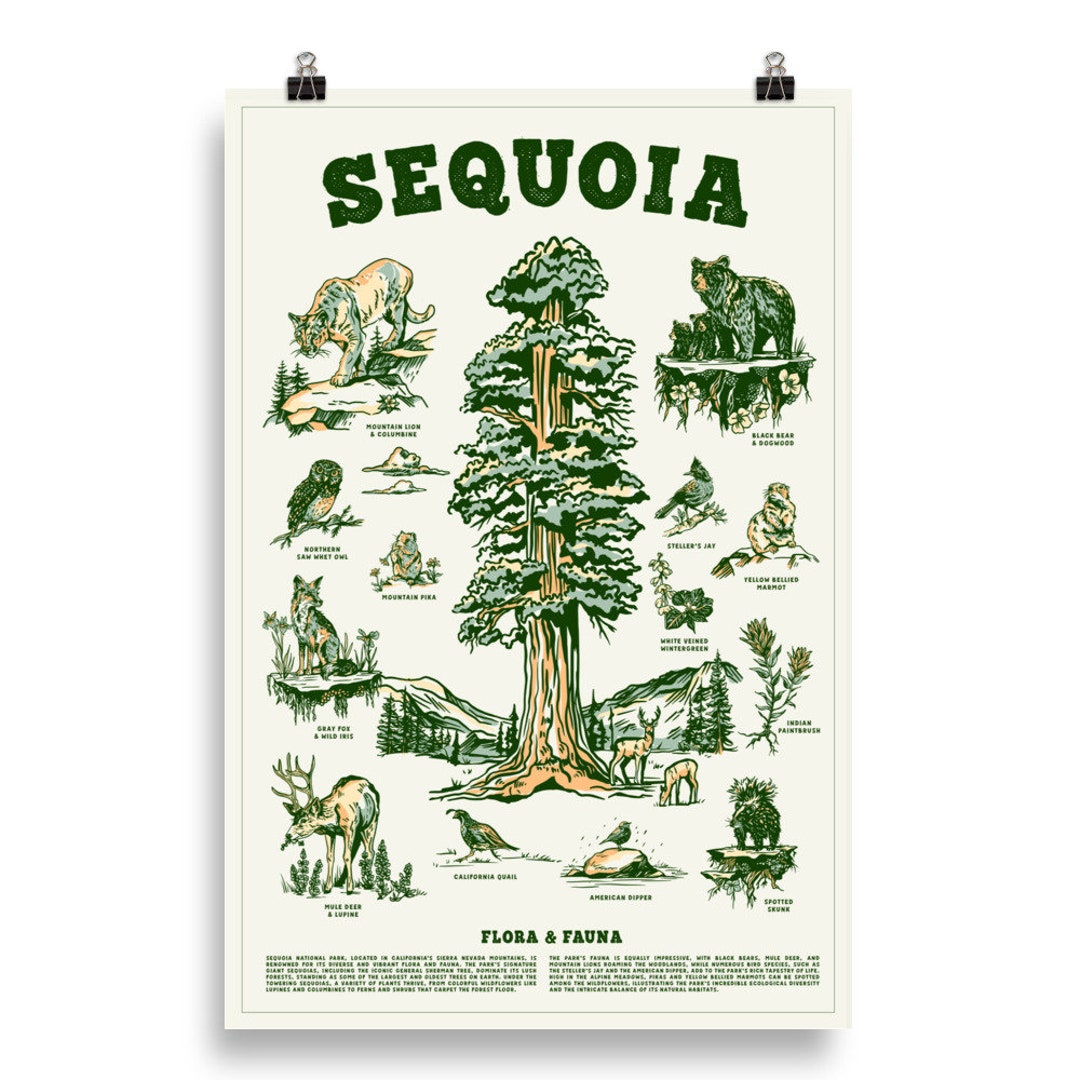 Sequoia National Park California Poster. Retro Vintage National Parks ...