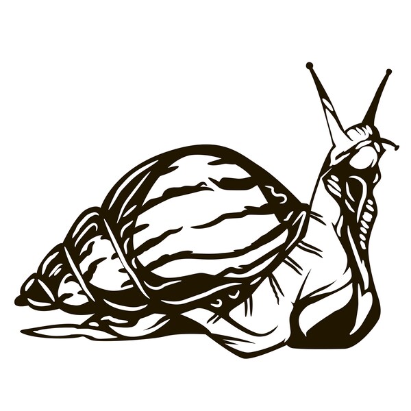 Snail Art - Etsy