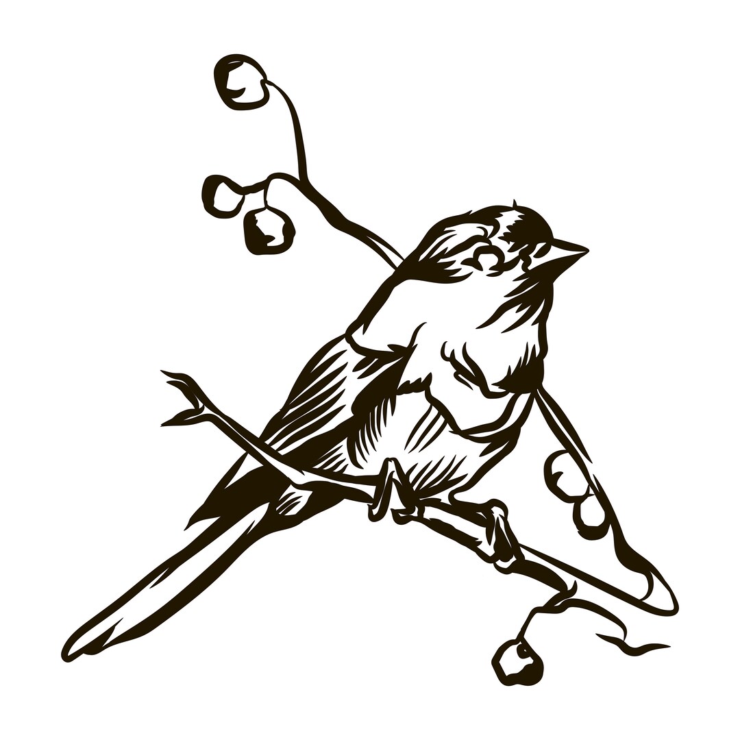 Bird SVG Digital File Bird for Printing on T-shirts File for - Etsy