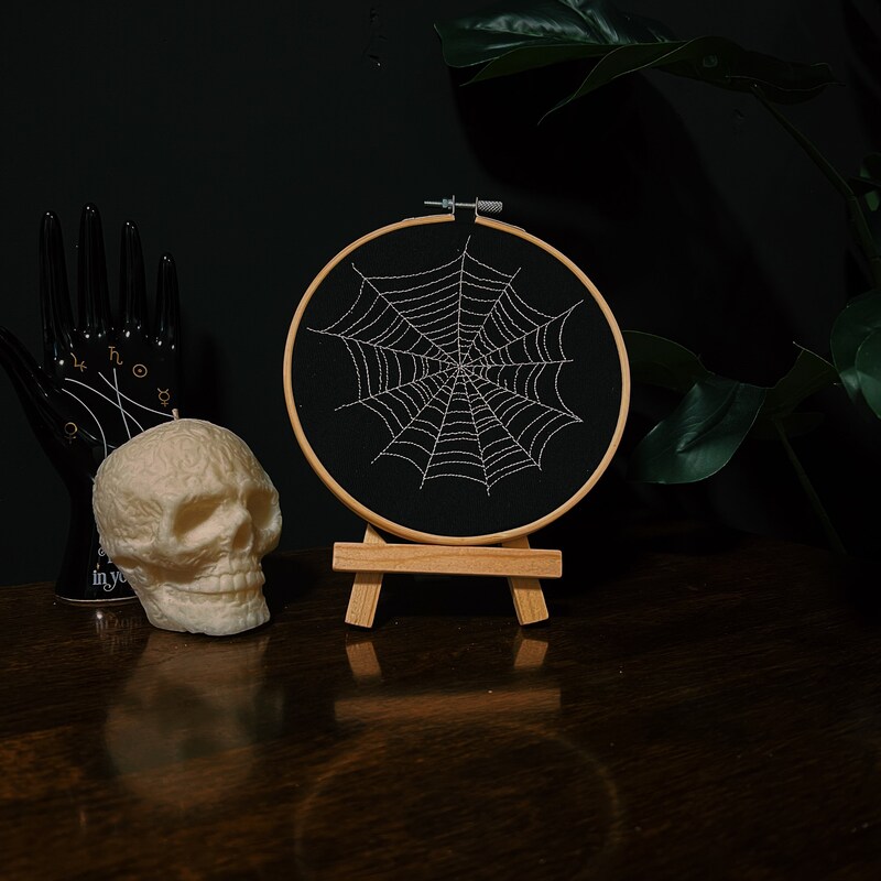 Framed Spider Web - Etsy