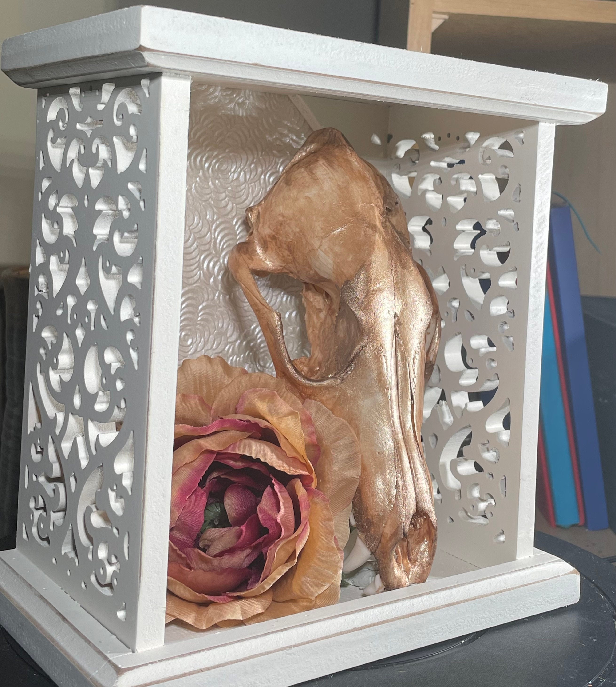 Romantic Fox Skull Shadow Box - Etsy